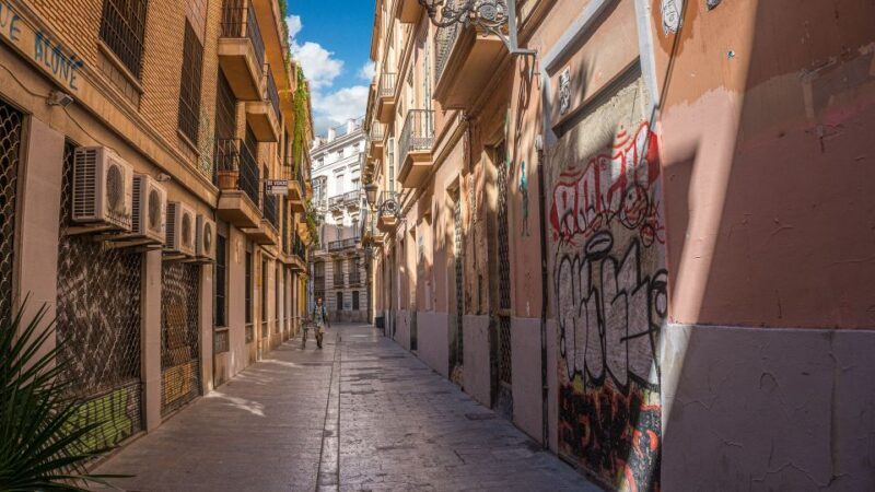 Valencia - Private Historic walking tour - What to Expect and Practical Details