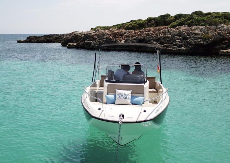 Valencia: Rent Boat With License - Why This Tour Works