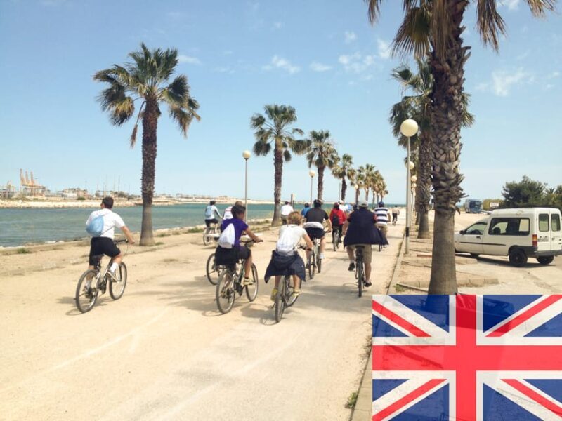 Valencia: Road to La Albufera Guided Private Bike Tour - The Experience: A Deeper Look