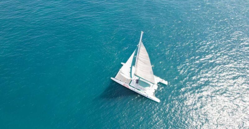 Valencia: Sailing Catamaran Cruise with Valencian Lunch - Authenticity and Value: What Travelers Are Saying