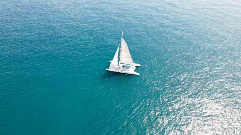 Valencia: Sailing Catamaran Cruise with Valencian Lunch - Final Thoughts: Is This Tour for You?