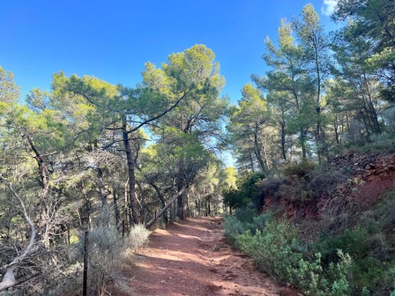 Valencia: Sierra Calderona & El Garbí Mountain hiking Tour - An Authentic Day in Nature with a Touch of History