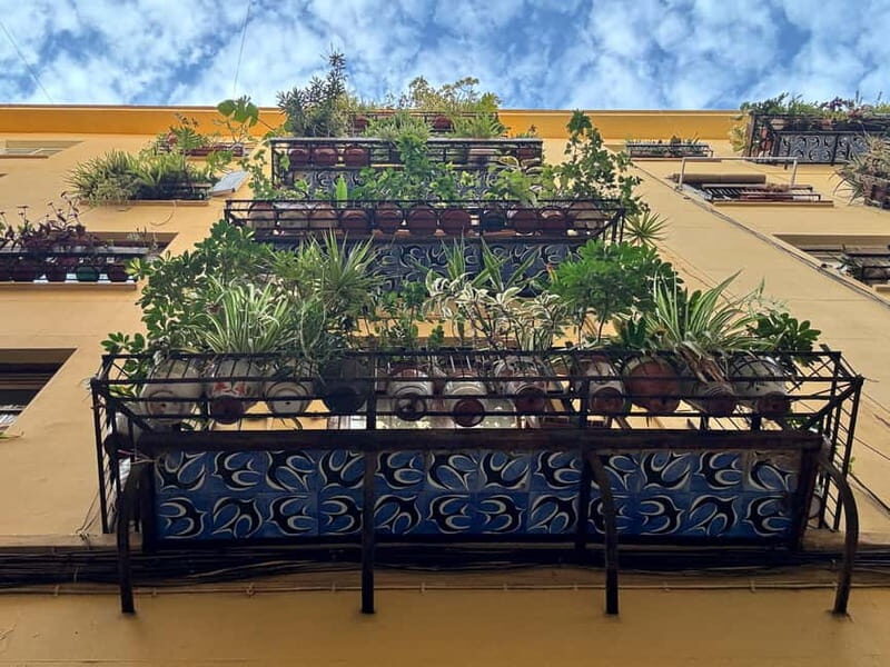 Valencia, Spain: Excellent Private Walking Photography Tour - Final Thoughts