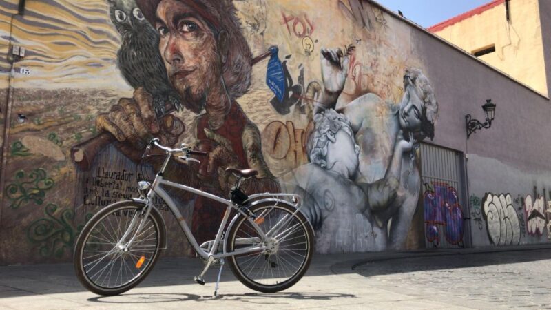 Valencia: Street Art Tour on Bicycle, E-Bike or E-Step - What to Expect on the Tour