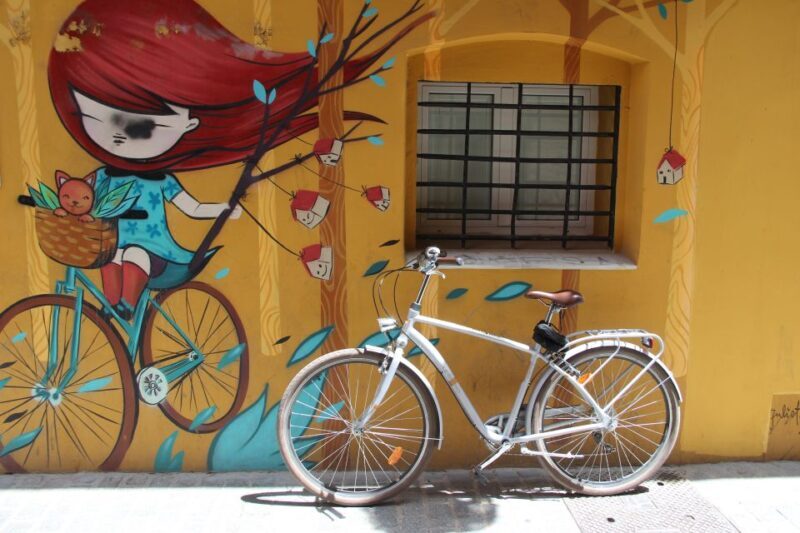 Valencia: Street Art Tour on Bicycle, E-Bike or E-Step - The Practicalities: Pricing, Timing, and Comfort