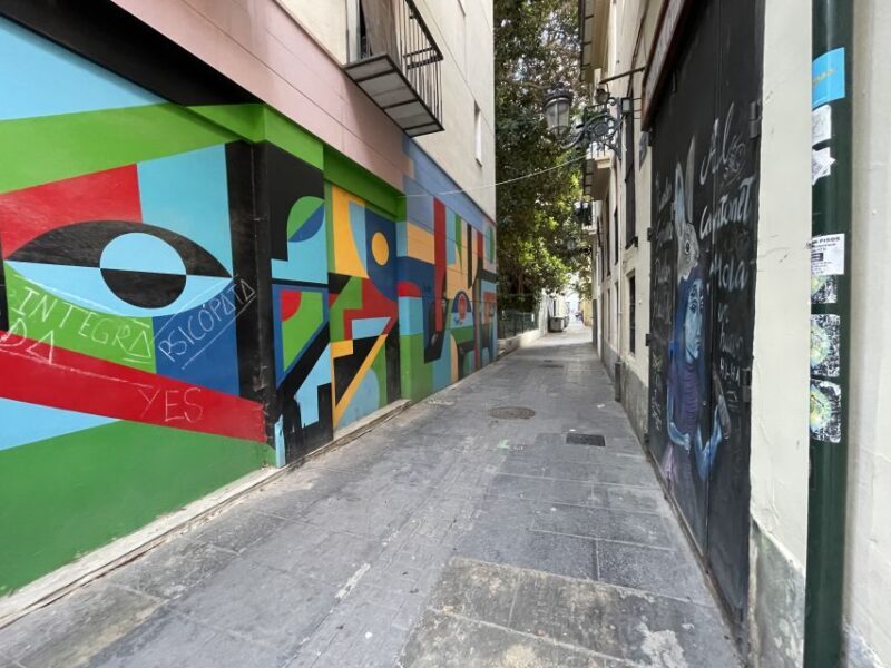 Valencia: Street Art Tour on Bicycle, E-Bike or E-Step - Is This Tour Right for You?