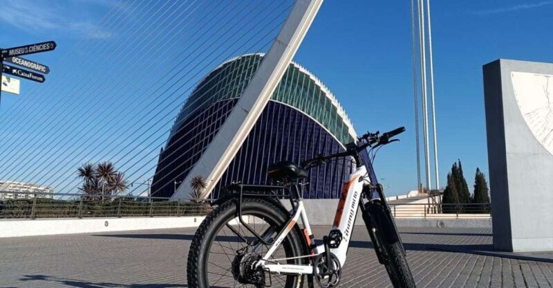 Valencia: The Albufera Lake Self-Guided E-Bike Tour - An In-Depth Look at the Experience