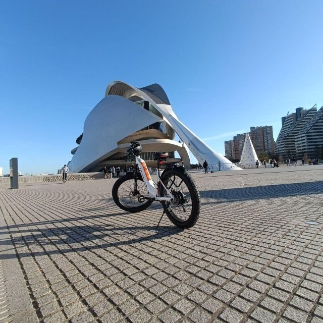 Valencia: The Albufera Lake Self-Guided E-Bike Tour - Who Will Benefit Most