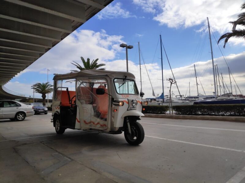 Valencia: Tuk Tuk Modern Tour - Who Will Love This Experience?