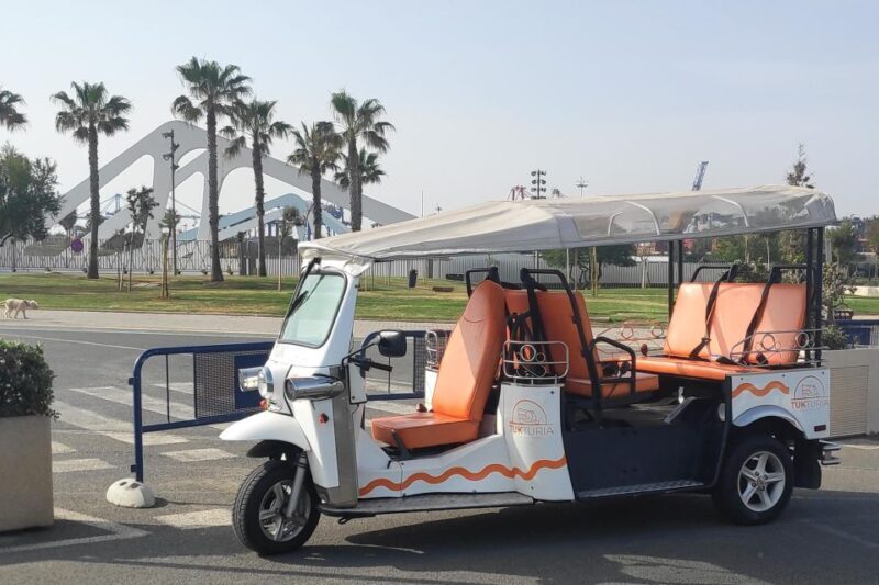 Valencia: Tuk Tuk Modern Tour - Final Thoughts: Is It Worth It?