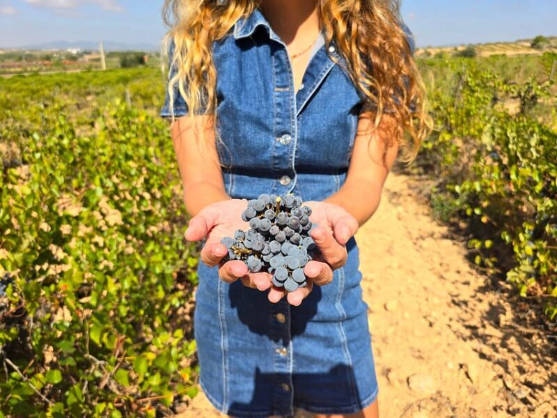 Valencia: Utiel-Requena Cave & Winery Day Trip with Tasting - Key Points