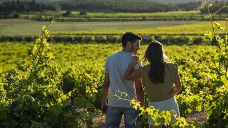 Valencia: Vineyard Tour, Local Wine Tasting and Appetizer - An In-Depth Look at the Requena Vineyard Tour