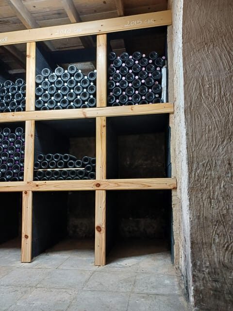 Valencia: Vineyard Tour with Local Wine Tasting & Appetizer - Who Will Love This Tour?