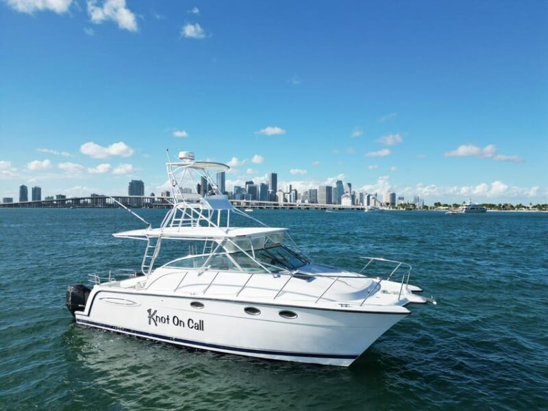 Valencia: VIP Sunset Cruise in Catamaran with drink - The Sum Up