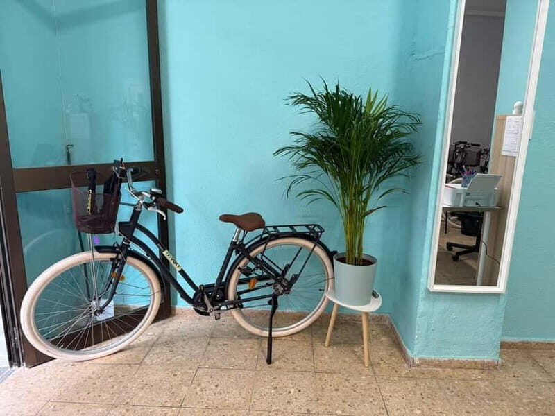 Valencia Volt Bike: Full-Day Bike Rental (9:30AM  7:00PM) - Key Points