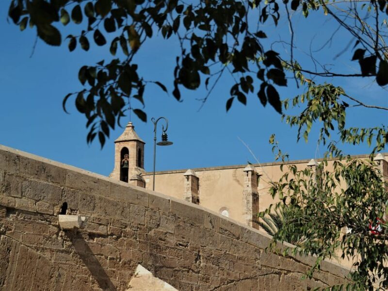 Valencia: Walking Tour of City Highlights with tastings - Discovering Valencia: A Walking Tour of Highlights and Tastes