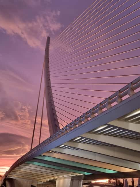 Valencia: Walking tour of the City of Arts and Sciences in Italian - Who This Tour Is Best For