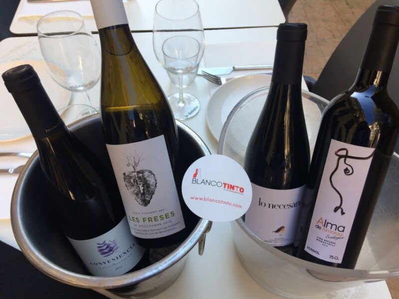 Valencia: Wine Tasting and Tapas Experience - Who Will Love This Experience?