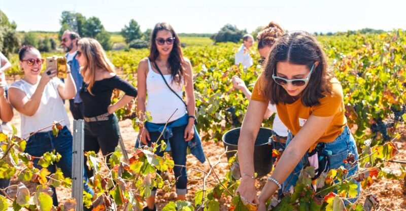 Valencia: Winery Visit with Vineyard Tour & Wine Tasting - A Closer Look at the Experience