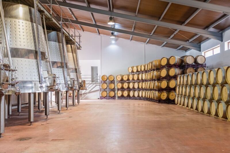 Valencia: Winery Visit with Vineyard Tour & Wine Tasting - FAQ