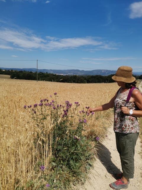 Valensole : Visit of a winery and lavender farm - Final Thoughts: A Truly Authentic Provence Experience