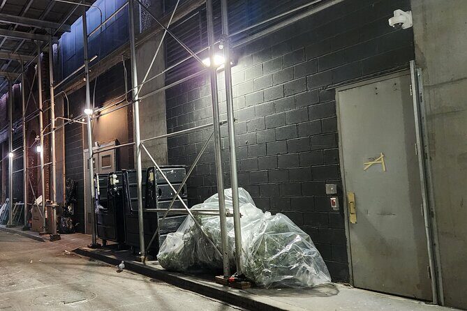 Valentine's Day Garbage and Rats in NYC Walking Tour - Key Points