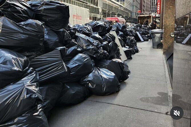 Valentine's Day Garbage and Rats in NYC Walking Tour - Who Should Consider This Tour?