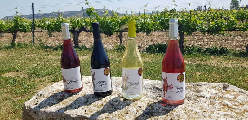 Valladolid: Concejo Bodegas - Who Will Love This Tour?