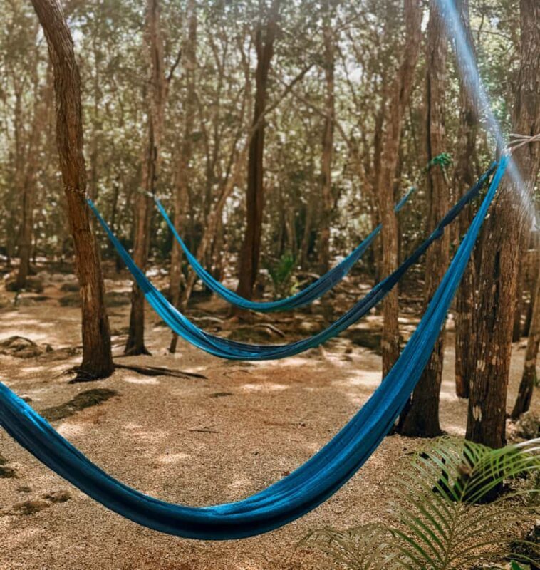 Valladolid: day pass to the Secret Mayan Cenote with cenote, pool, and jungle - An Authentic Day in the Maya Jungle