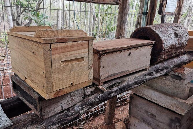 Valladolid Mayan Bees Tour with Lunch or breakfast and Honey Tasting - Authenticity and Traveler Feedback