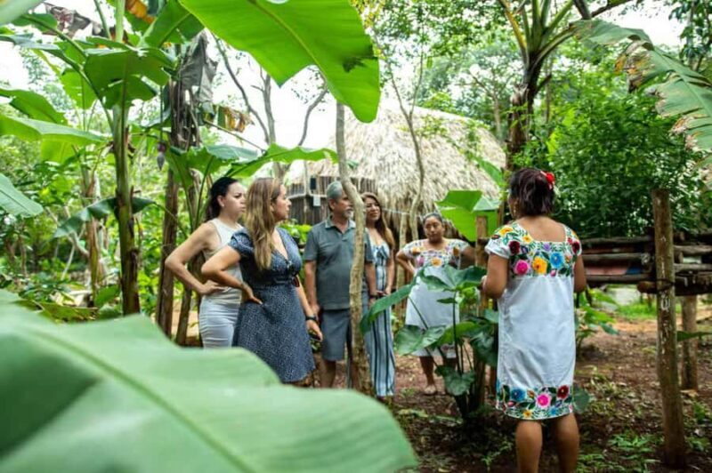 Valladolid: Mayan Cooking Class with 5 Dishes - The Value of Learning Traditional Recipes