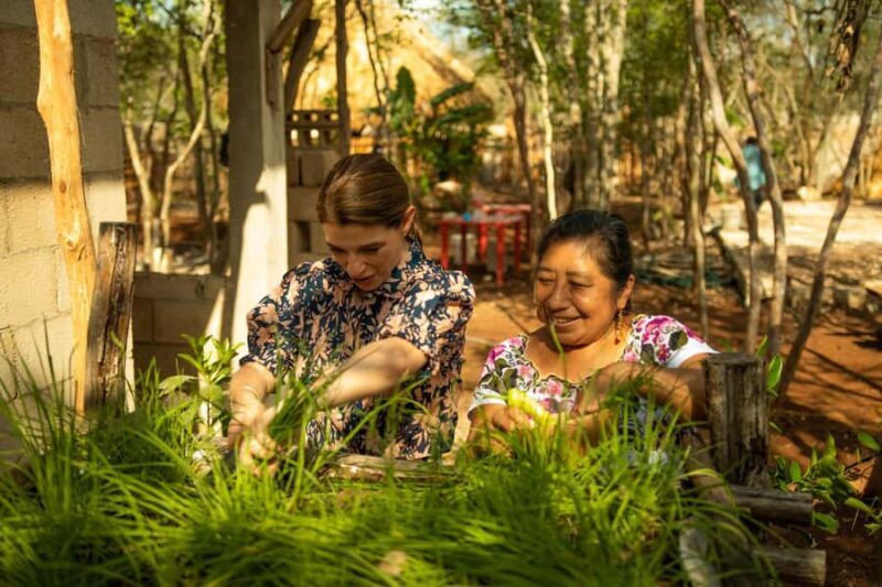 Valladolid: Mayan Cooking Class with 5 Dishes - What the Reviews Say