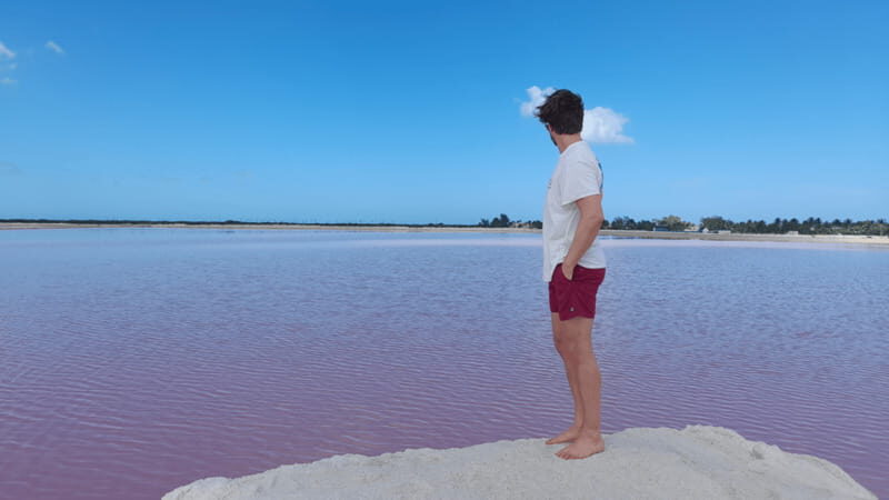 VALLADOLID: RIO LAGARTOS + LAS COLORADAS + CENOTE (SHARED TRIP) - Is This Tour Right for You?