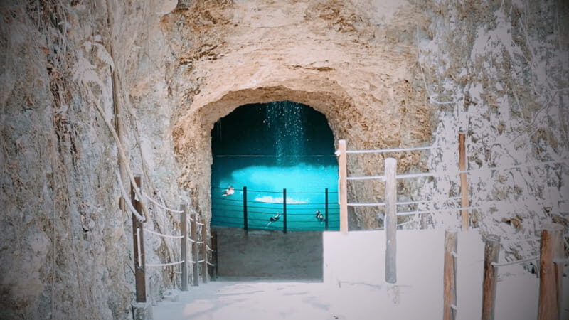 VALLADOLID: RIO LAGARTOS + LAS COLORADAS + CENOTE (SHARED TRIP) - FAQs