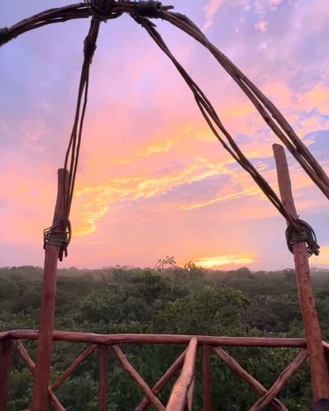 Valladolid: Sunset jungle viewpoint and cenote swim - A Close Look at the Experience