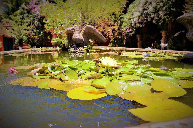 Vallarta Botanical Garden and Tequila Tasting from Puerto Vallarta - FAQ