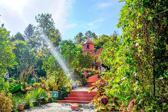 Vallarta Botanical Garden: Private Day Trip of Flora & Fauna - Discovering the Vallarta Botanical Garden: A Private Day Trip That Celebrates Mexico’s Natural Beauty