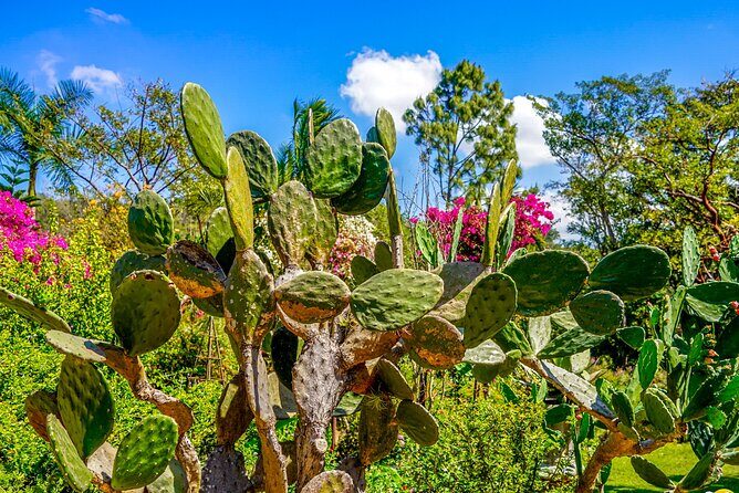 Vallarta Botanical Garden: Private Day Trip of Flora & Fauna - Wrapping Up: Who Will Love This Experience?