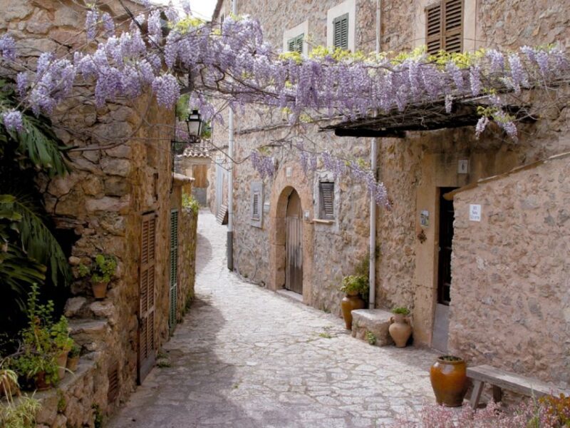 Valldemossa: Discover Valldemossa with a transfer from Palma - A Step-by-Step Look at the Experience