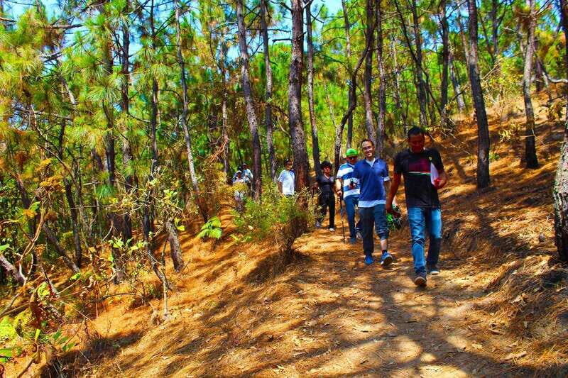 Valle de Bravo: Forest Hiking Adventure - Who Should Consider This Tour?