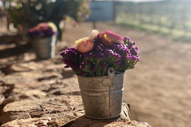 Valle de Guadalupe COUPLES wine tasting for 2 - Authentic Experiences and Practical Insights