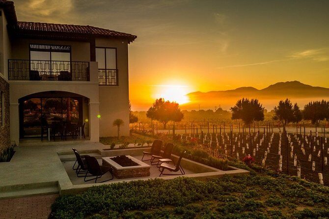 Valle de Guadalupe Premium Wine & Vineyard Wagon Tour - Key Points