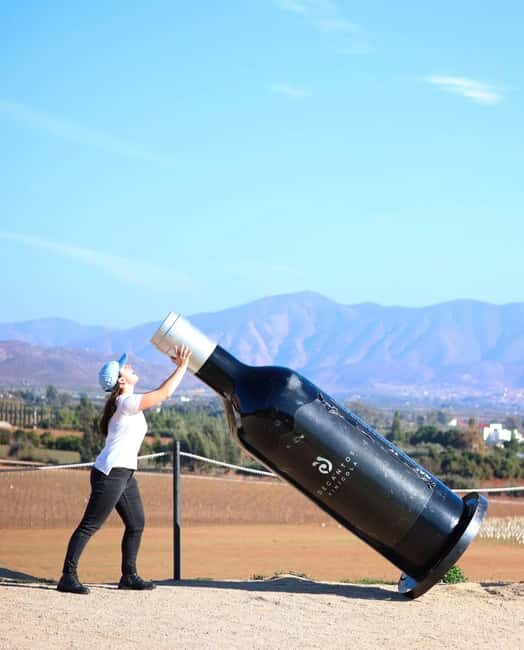 Valle de Guadalupe Tour: Wine Tastings Included - Price and Value