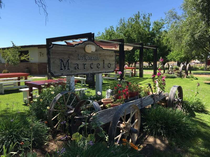 Valle de Guadalupe: Wine & Cheese Tour - Value and Price Considerations