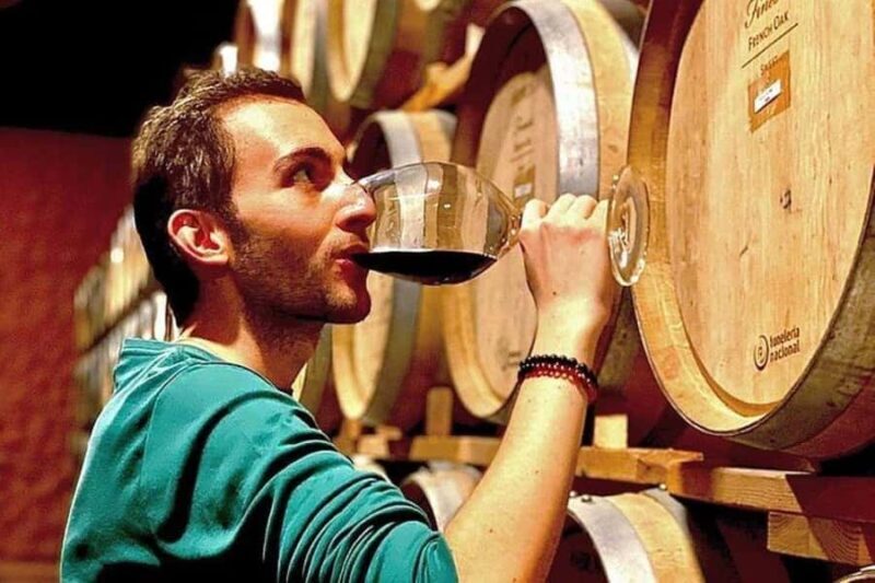 Valle de Guadalupe: Wine Tasting and Wagon Tour - An Authentic Taste of Baja California’s Wine Country