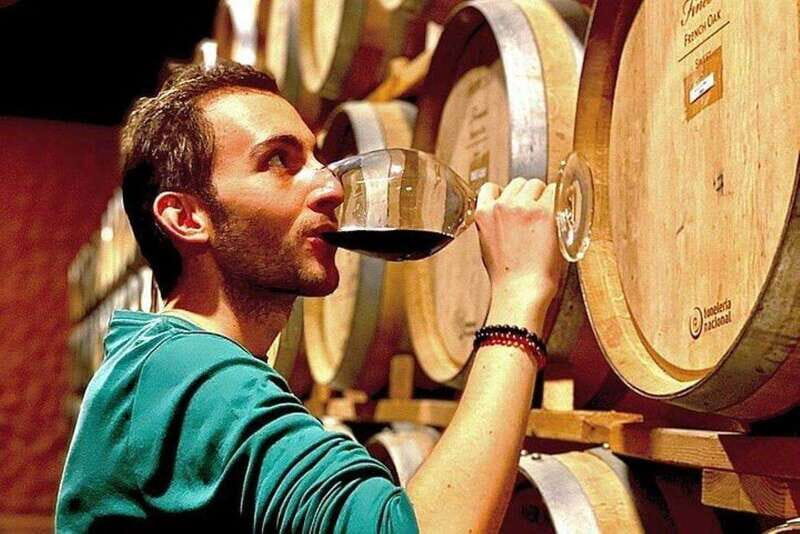 Valle de Guadalupe: Wine Tasting and Wagon Tour - Introduction