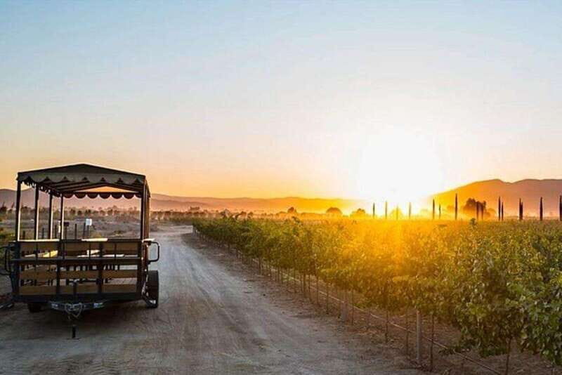 Valle de Guadalupe: Wine Tasting and Wagon Tour - The Transportation: Motor Wagon Ride