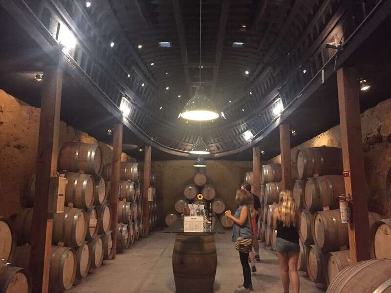 Valle de Guadalupe Wine Tasting Tour - The Sum Up: Who Is This Tour Best For?