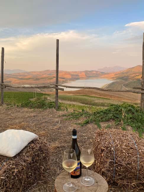 Valle del Belice: Informal and authentic tasting of artisan wines - Key Points