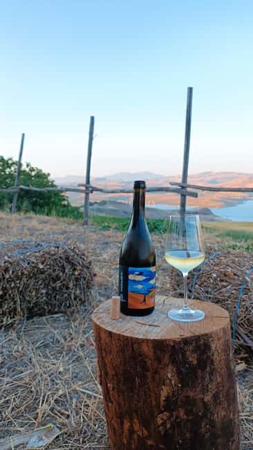 Valle del Belice: Informal and authentic tasting of artisan wines - What Makes this Tour Stand Out?